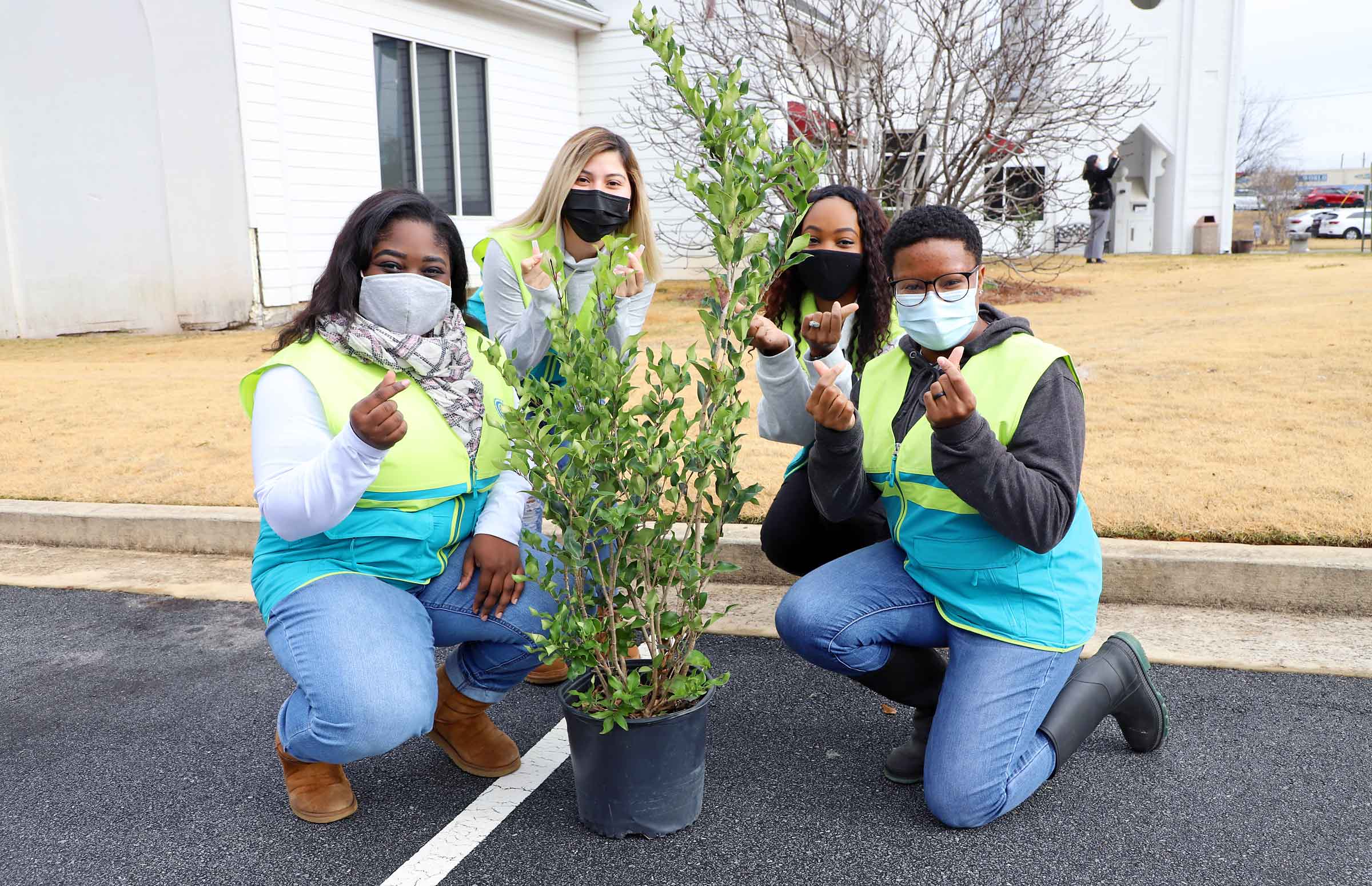 To Become a Good Tree - Volunteer Service Review