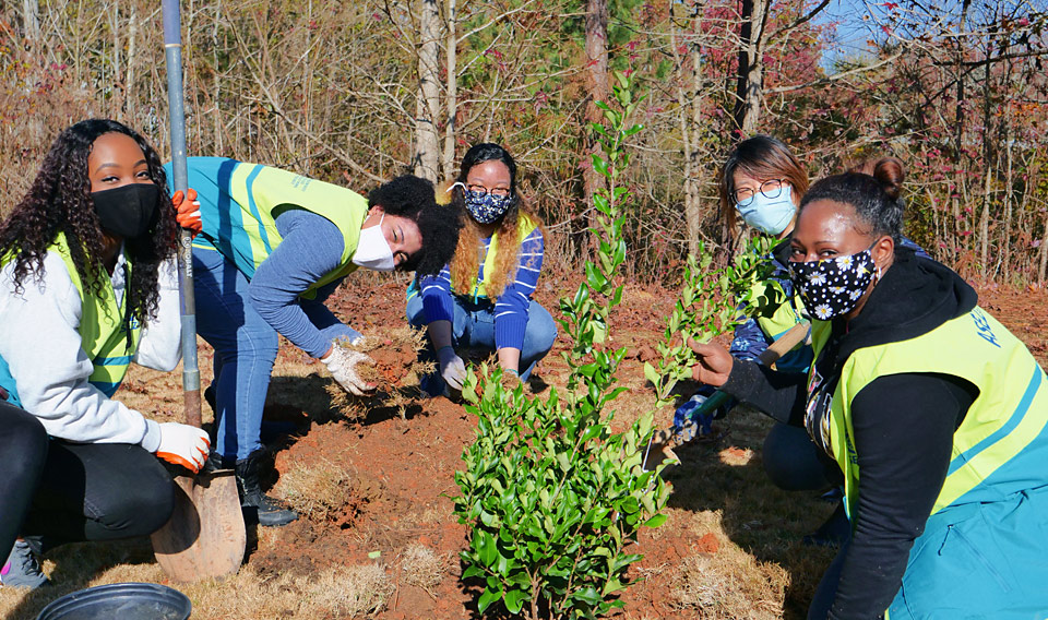 To Become a Good Tree - Volunteer Service Review