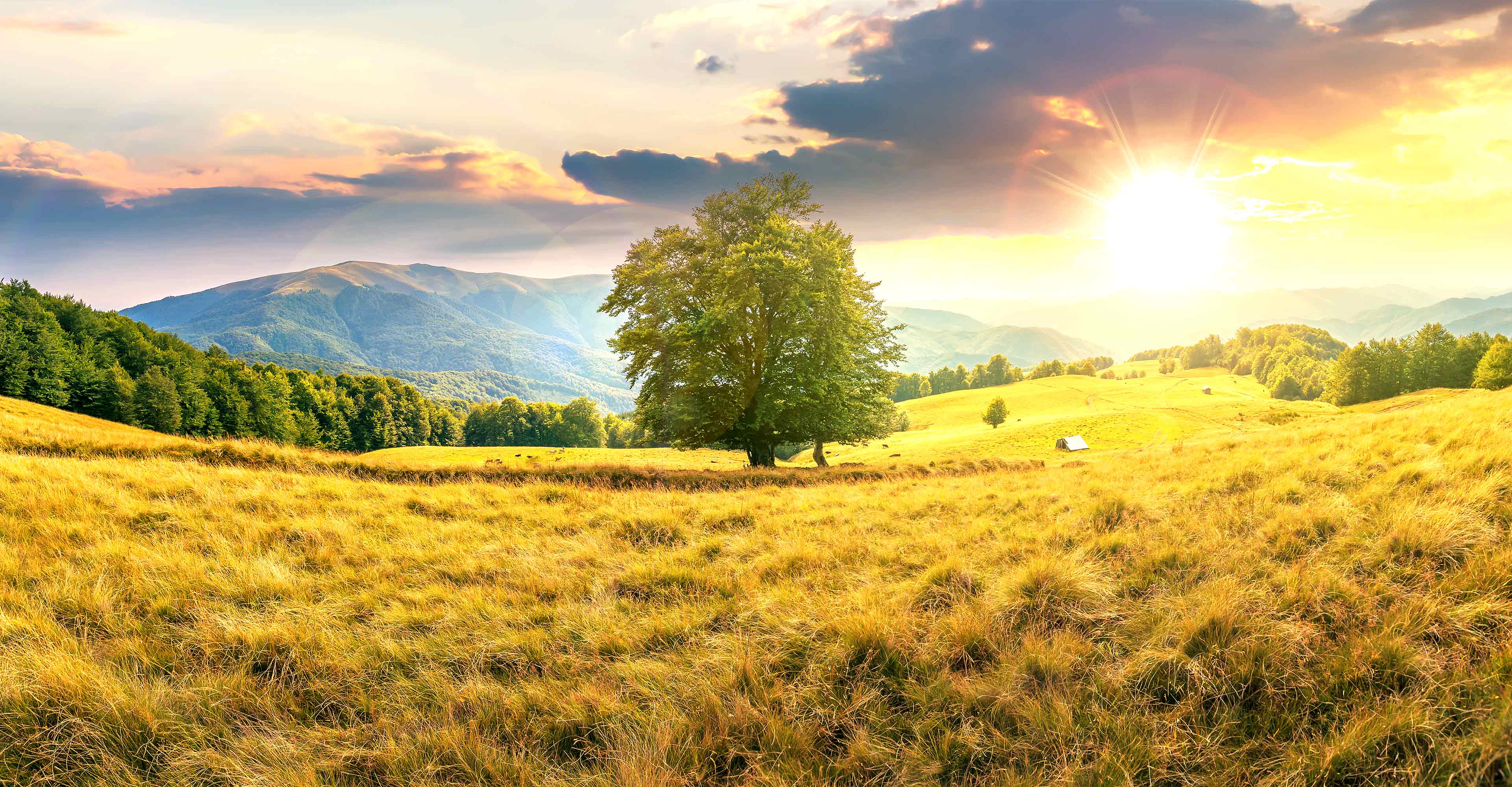 사도 바울의 전도 - 설교