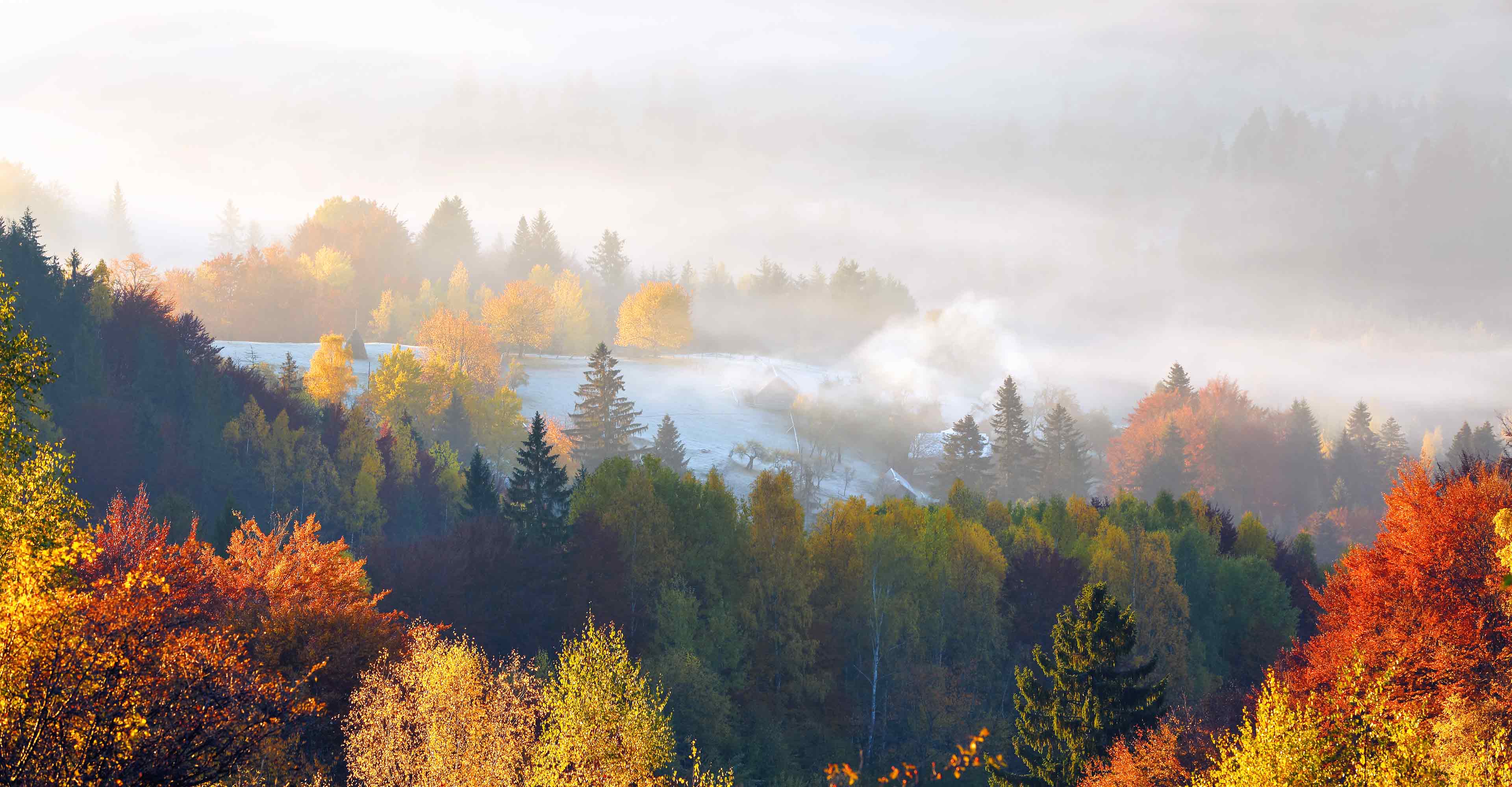 Serve One Another - Sermons