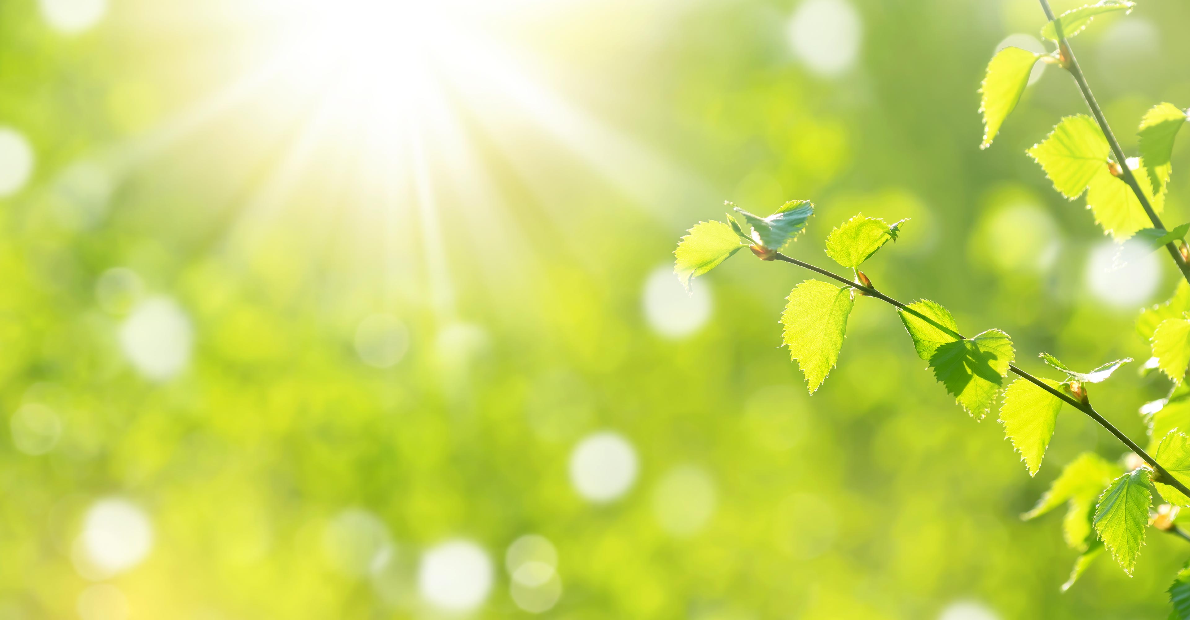 A Wake-Up Call to the World - Sermons
